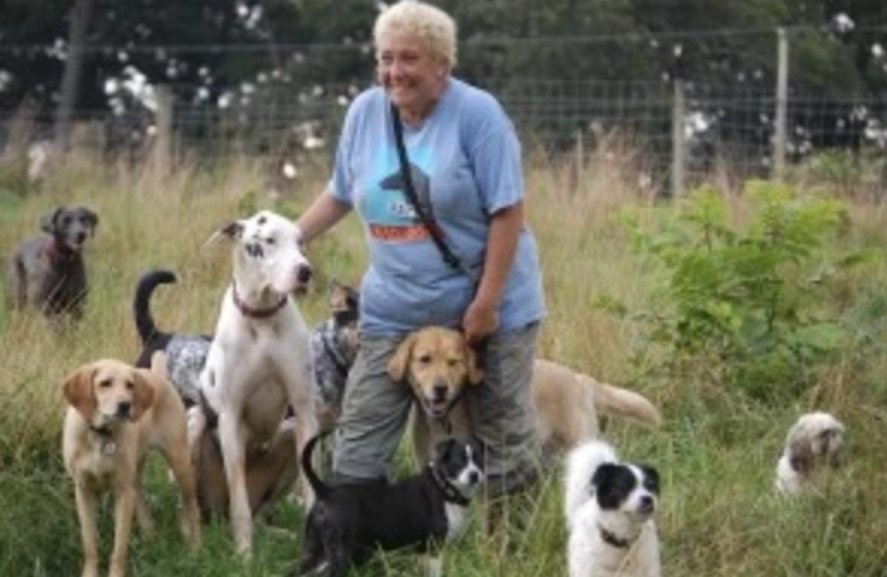 Why Timekeeping Is Imporrtant With Dogs | The Ministry Of Dog – The ...